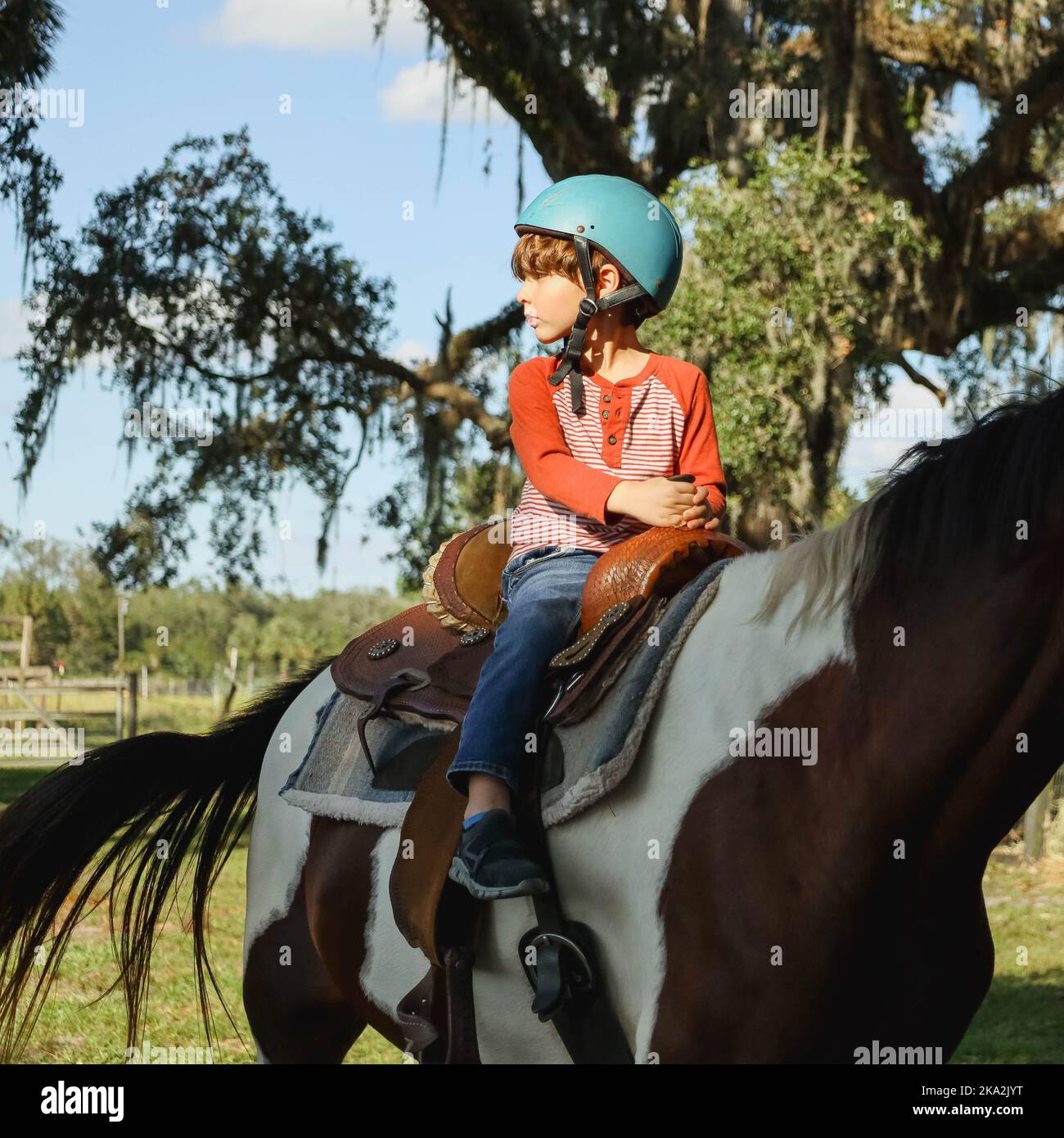 A Caucasian boy wearing helmet and riding horse in greenery field Stock ...