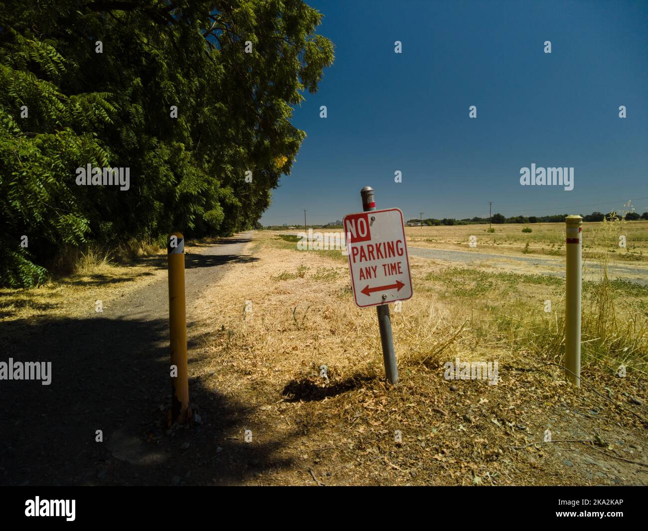 A no parking any time signpost in the isolated area with a lush tree in ...