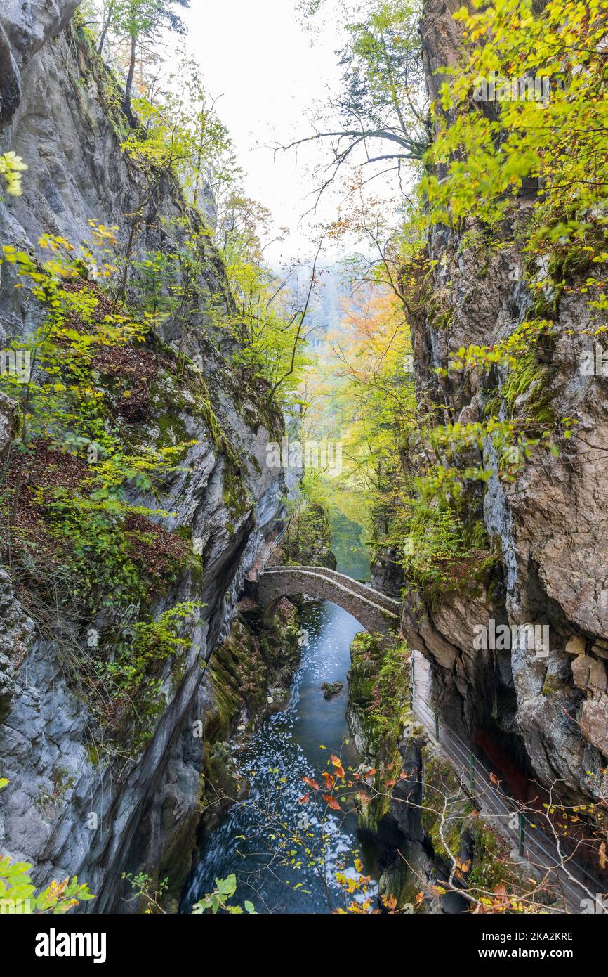A vertical shot of a bridge on a river flowing in Gorges de l'Areuse ...