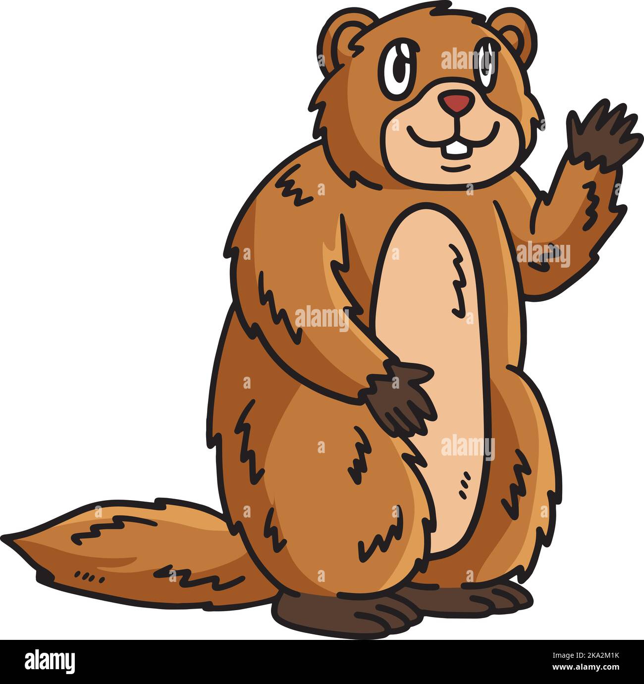 Waving Groundhog Cartoon Colored Clipart Stock Vector Image & Art - Alamy