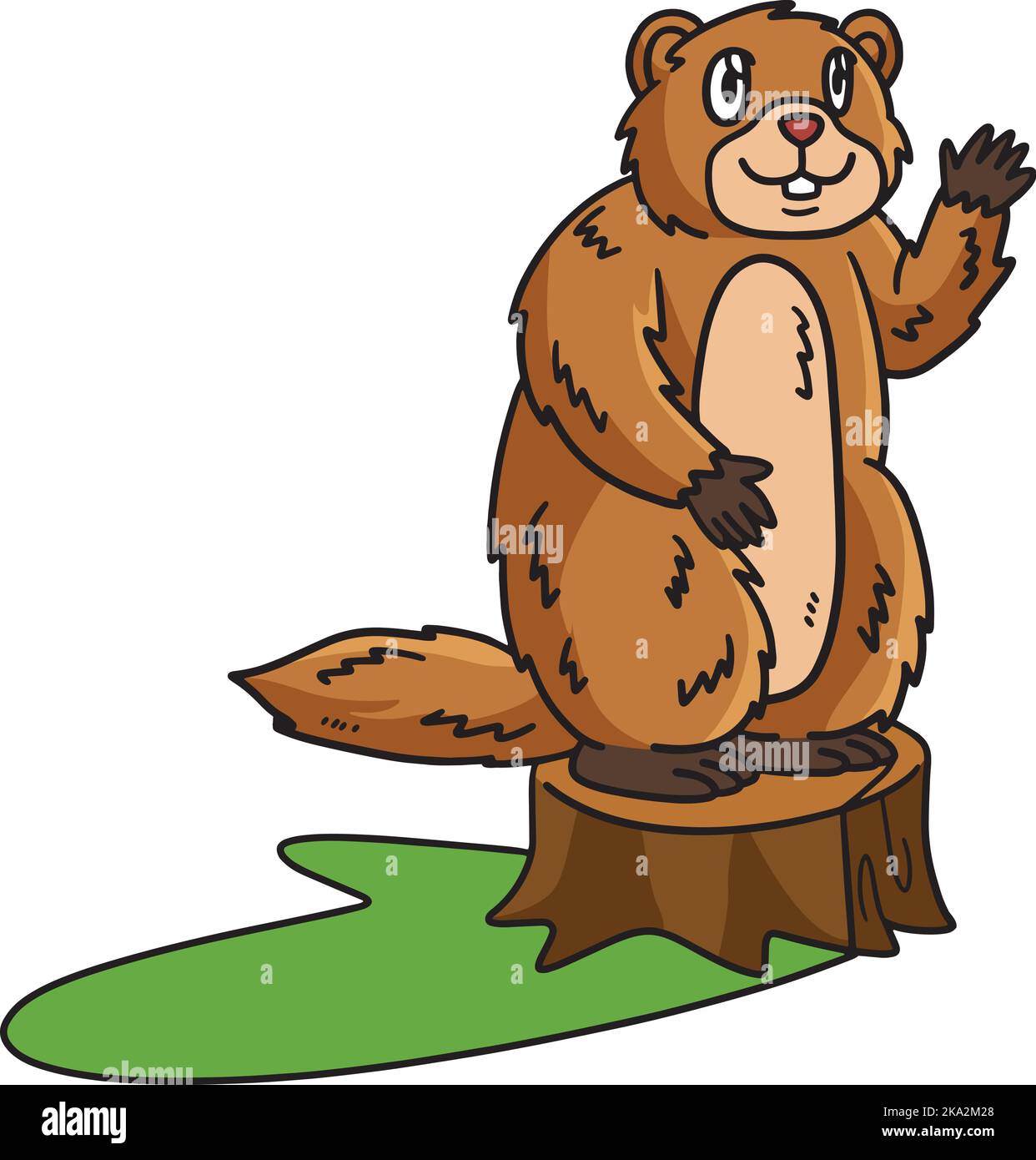 Waving Groundhog Cartoon Colored Clipart Stock Vector Image & Art - Alamy