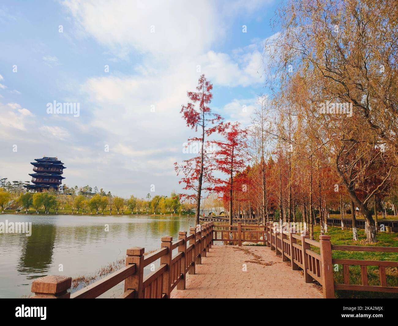 An aerial view of path near lake surrounded by trees in YanCheng Stock ...