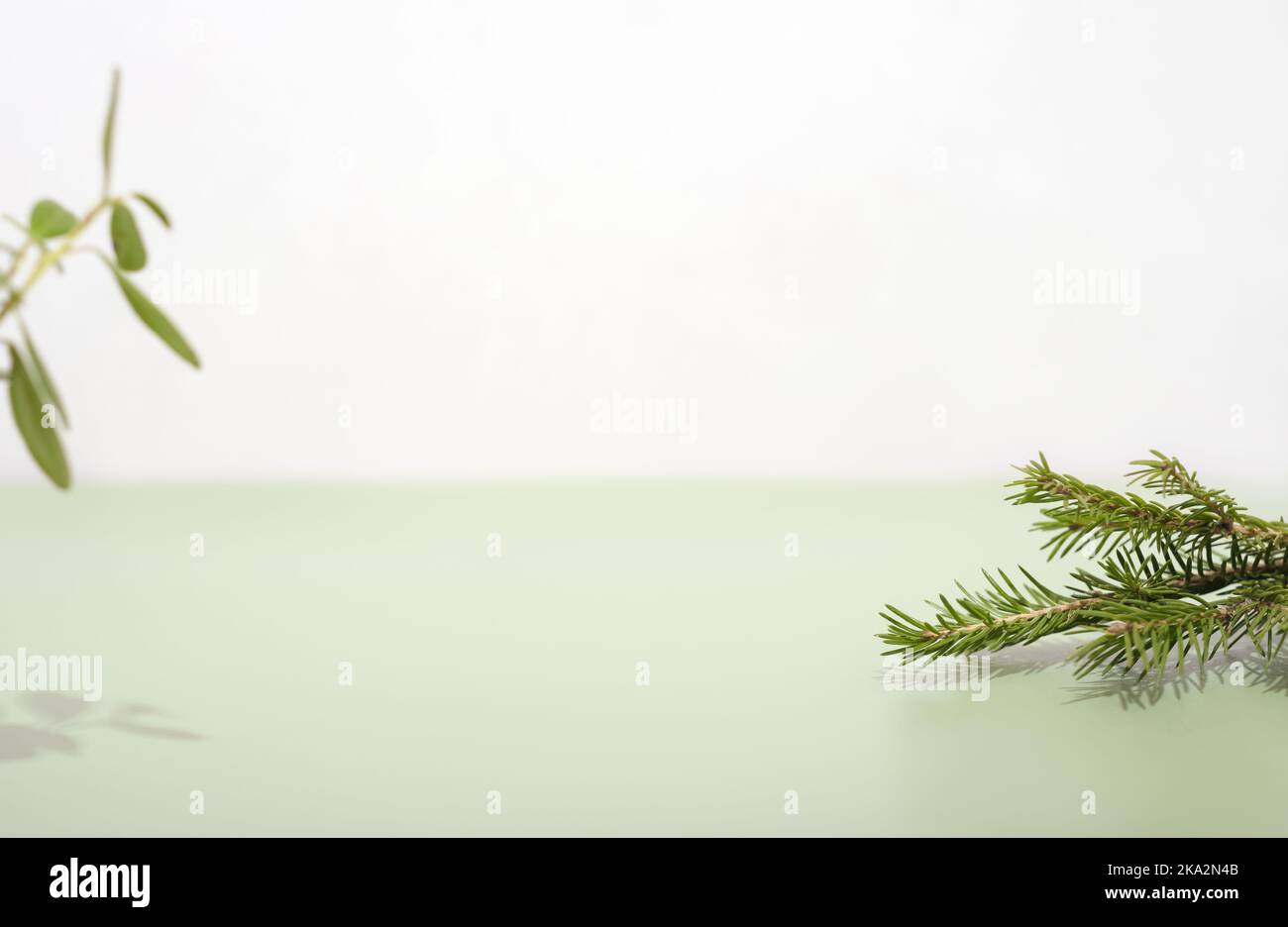 natural green table top scene for product presentation. mockup for ...