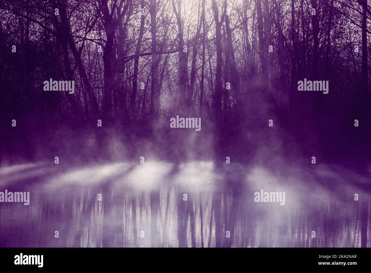 Fog above the lake at cold autumn morning Stock Photo - Alamy