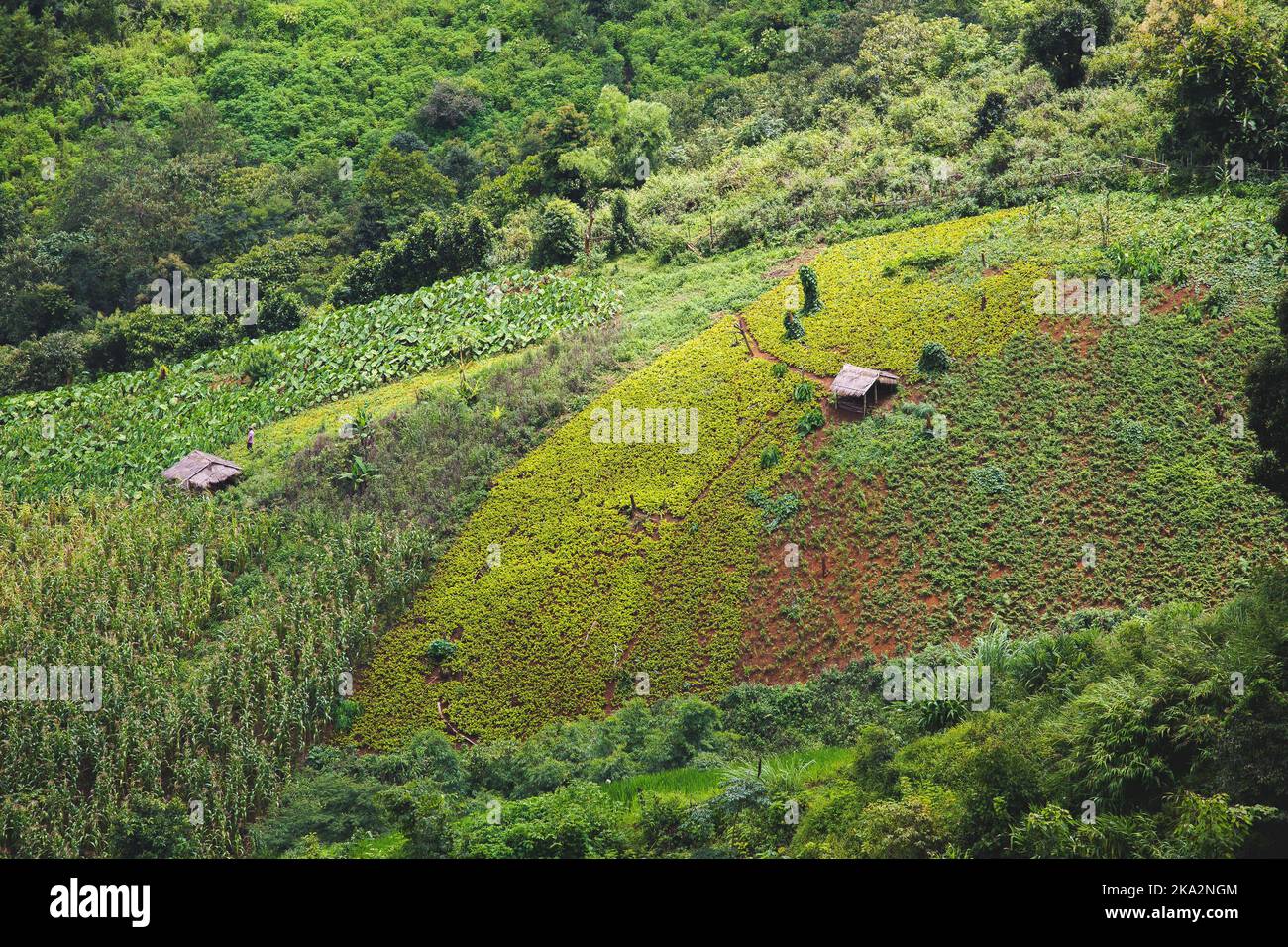 An aerial shot of a mountain farm with houses in Northern Laos ...