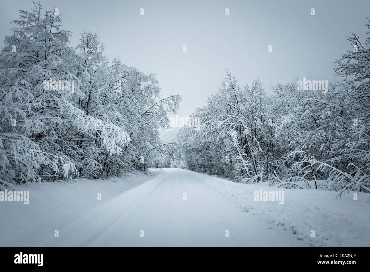 White scenery hi-res stock photography and images - Alamy