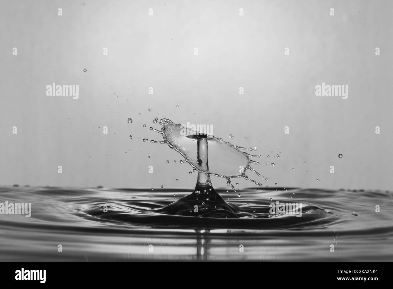 A grayscale closeup shot of a water droplet splashing into water Stock ...