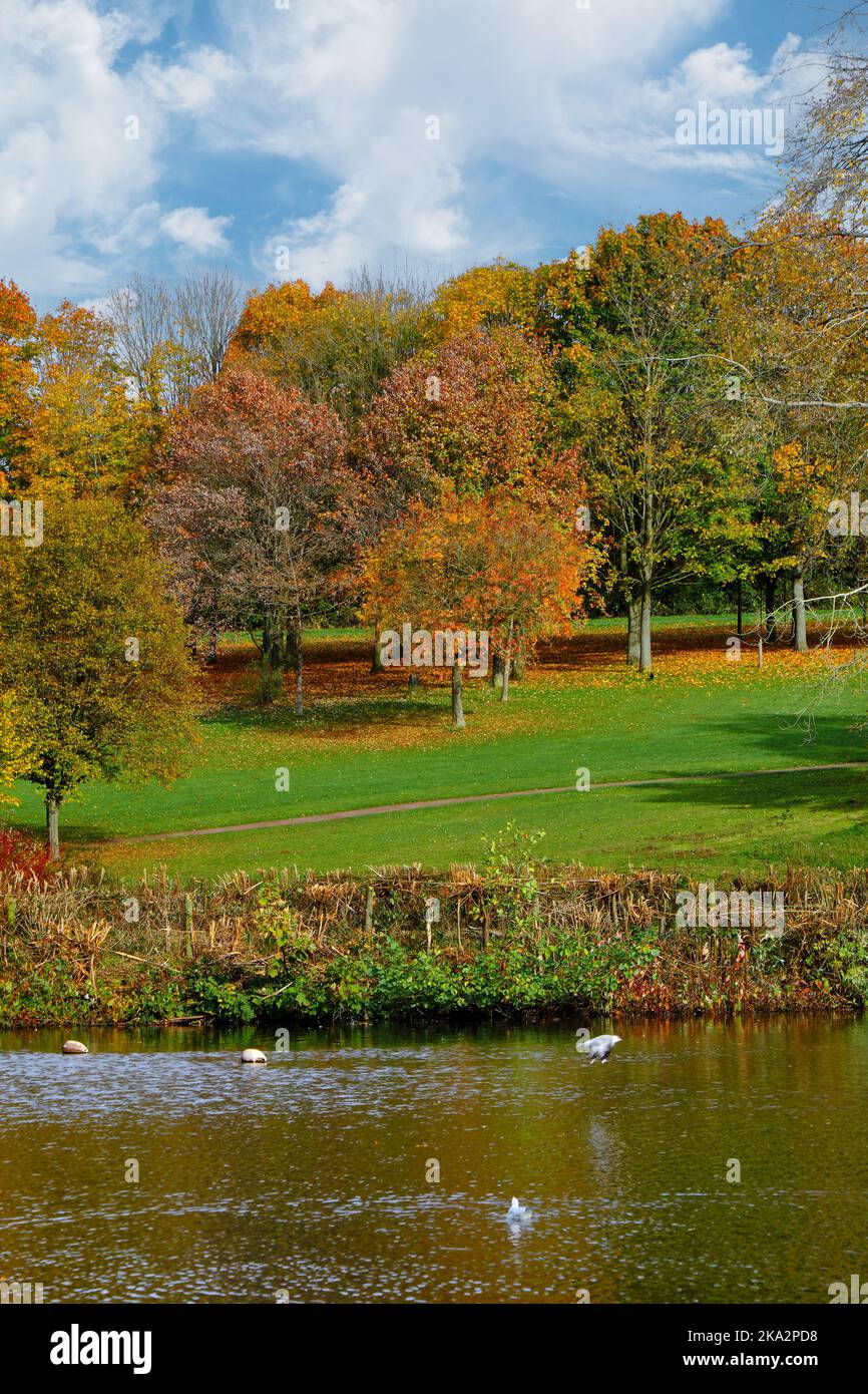 Fairlands hi-res stock photography and images - Alamy