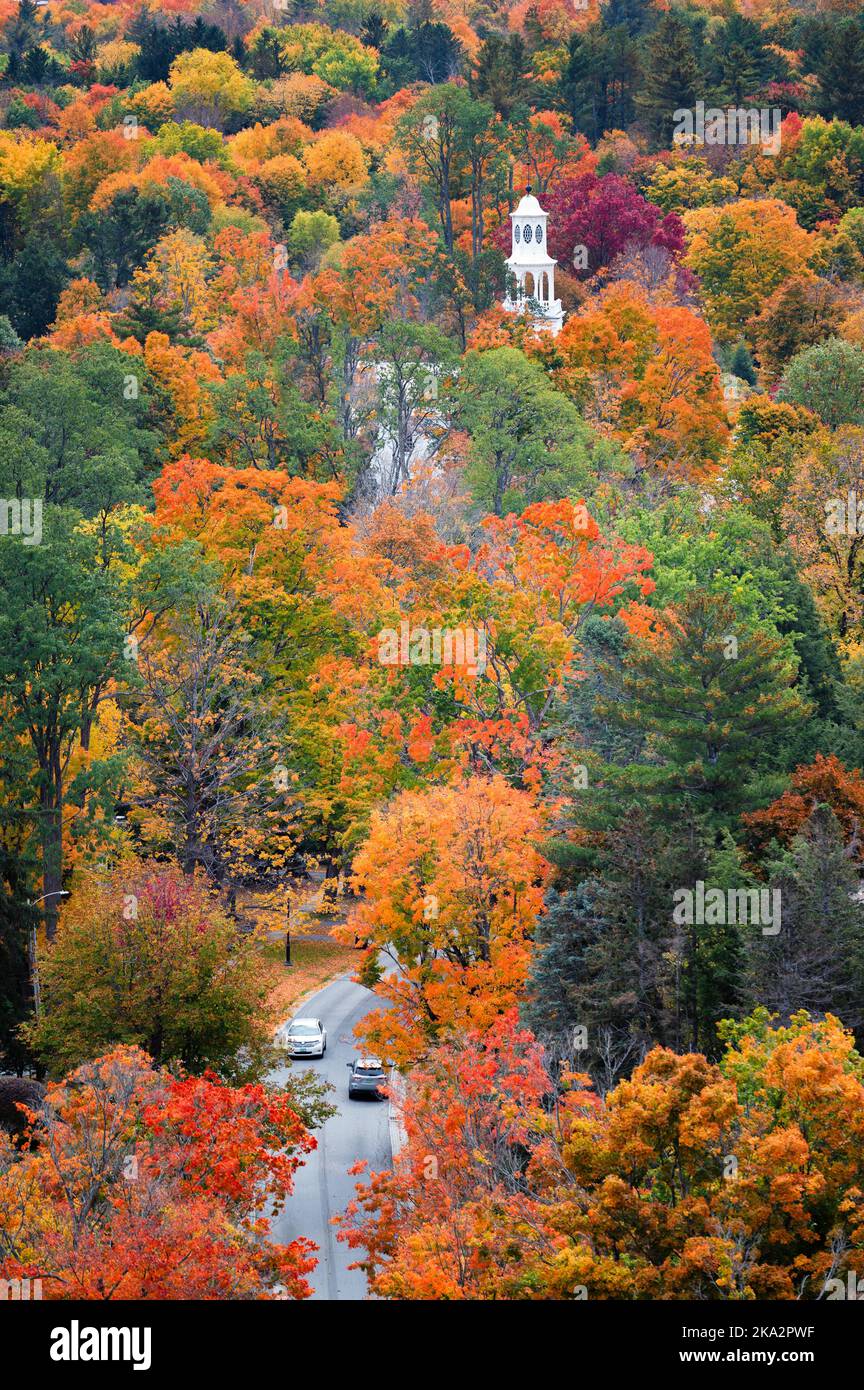The beautiful autumn colors in a forest Stock Photo - Alamy