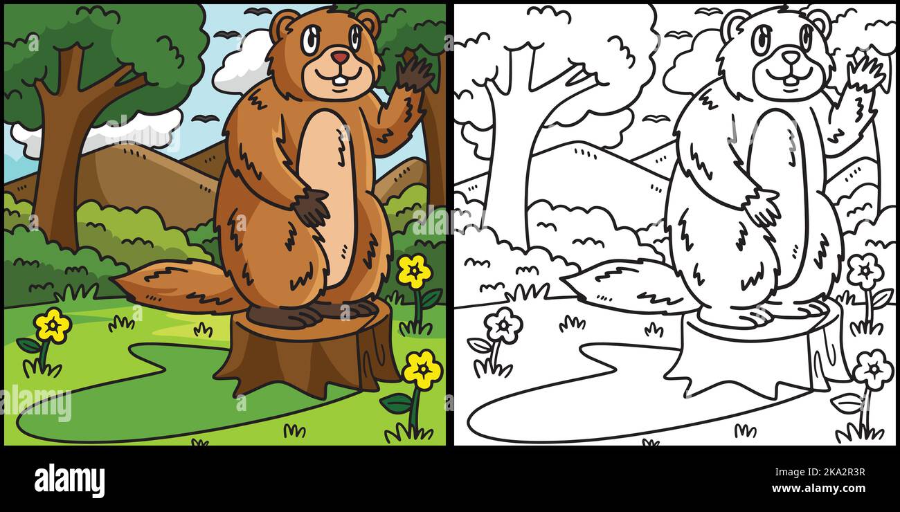 Waving Groundhog Coloring Page Illustration Stock Vector Image & Art ... Waving Groundhog Coloring Page Illustration Stock Vector Image & Art ...
