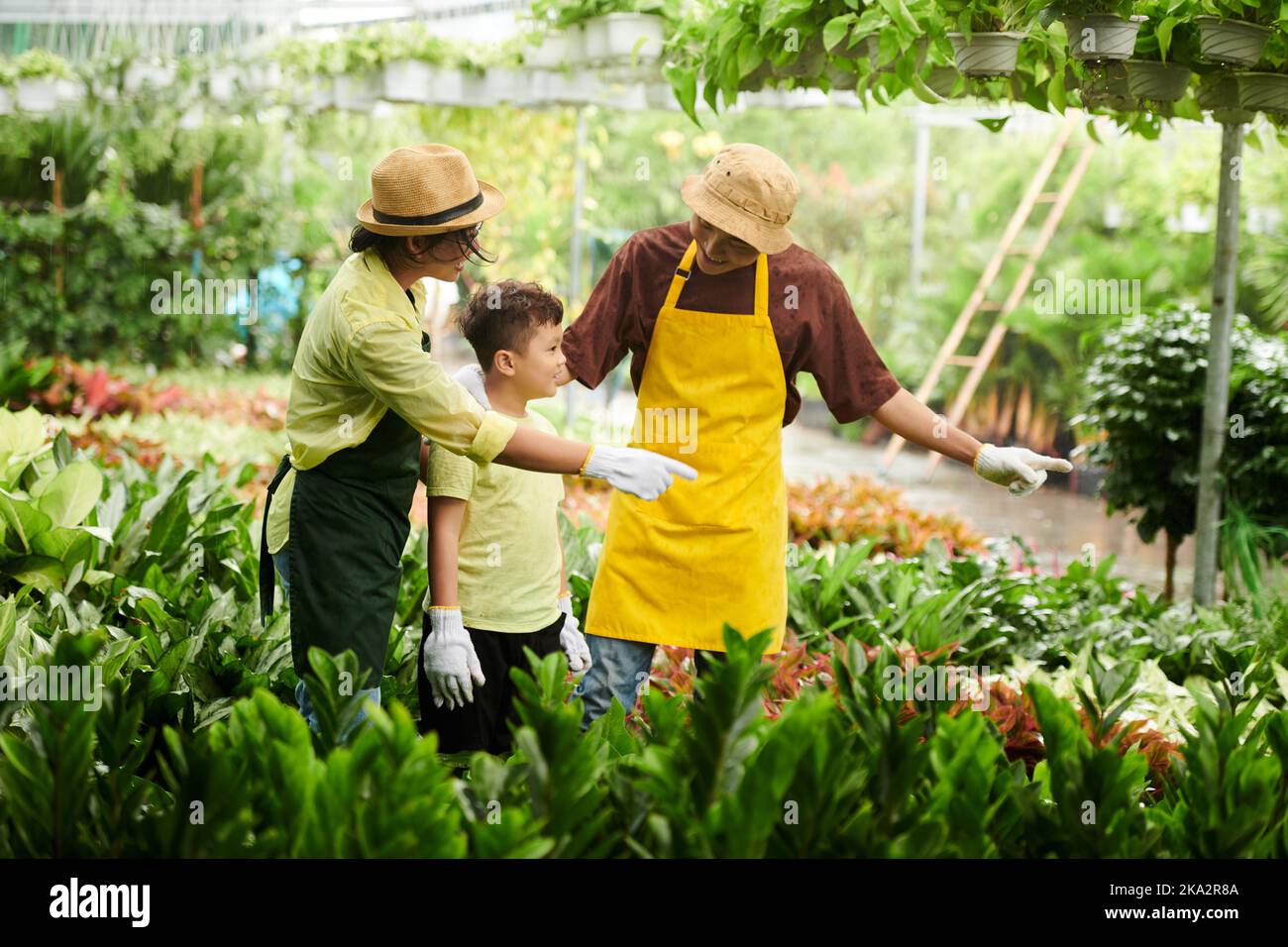 Parents showing little son plants in greenhouse and explaining how to ...