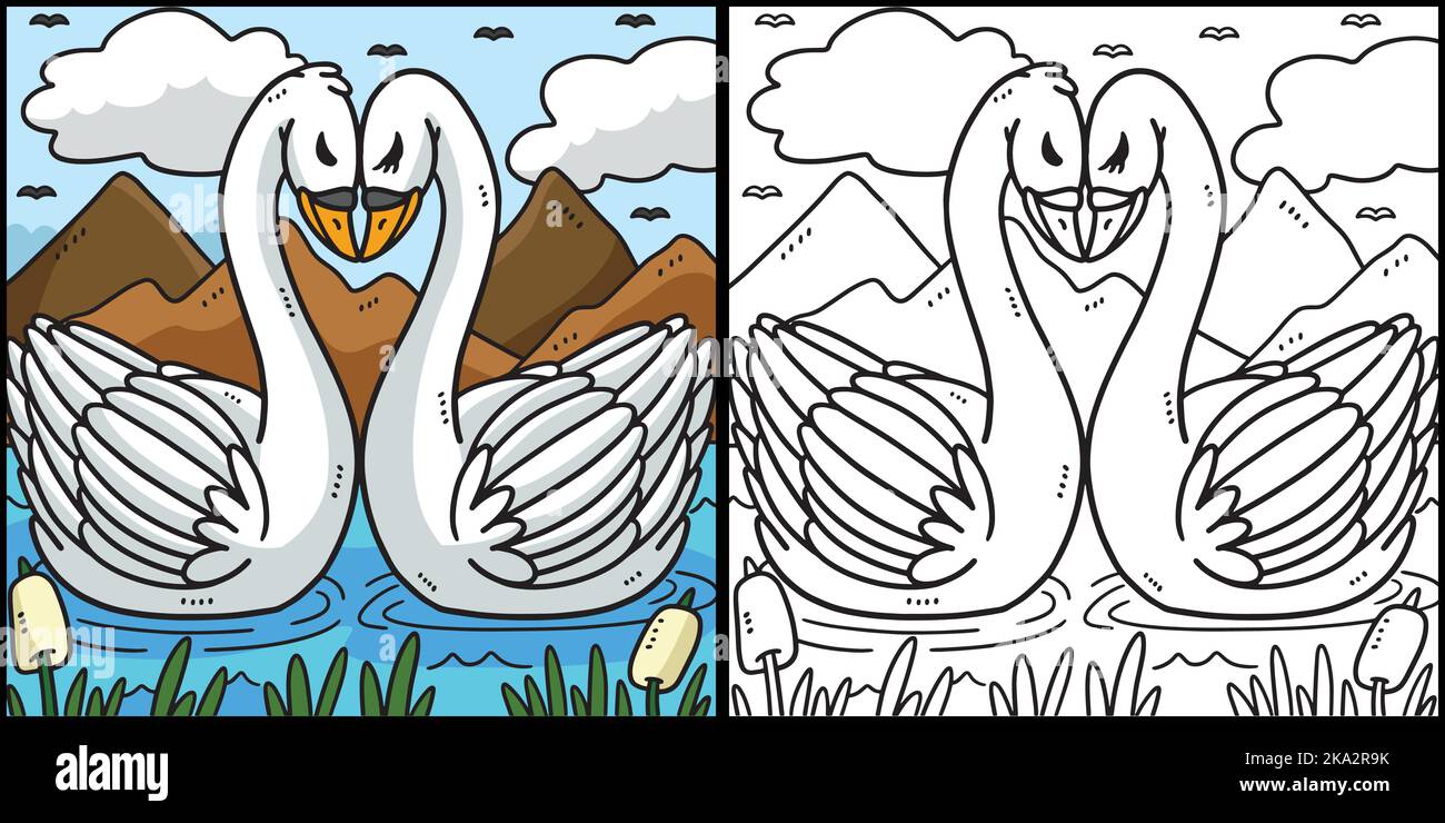 Valentines Day Love Swans Coloring Illustration Stock Vector Image ...