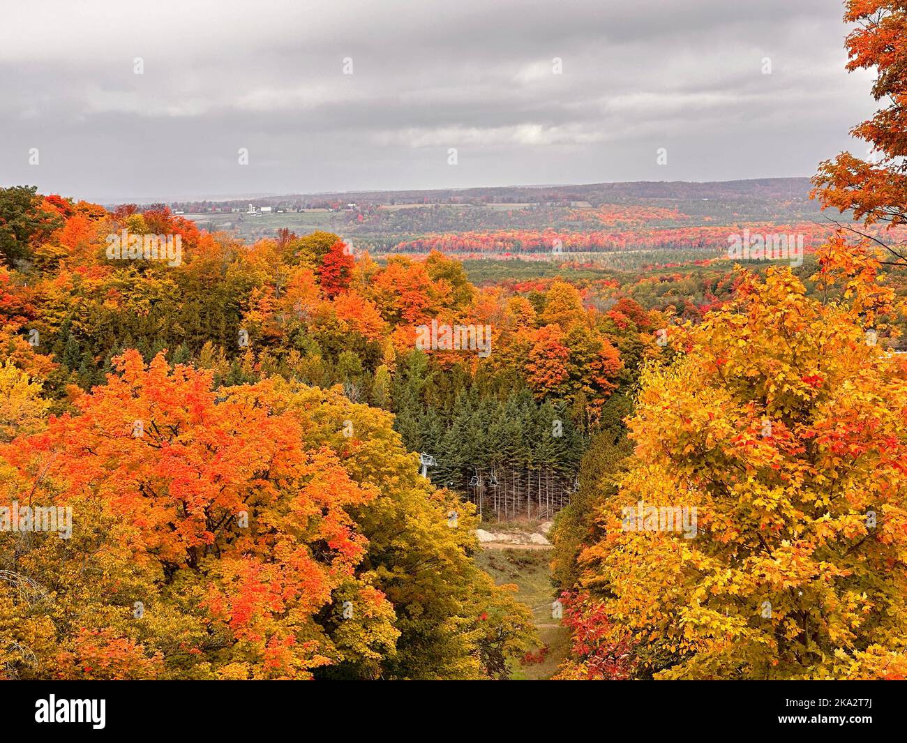 A landscape view of the colorful fall trees in the forest under ...