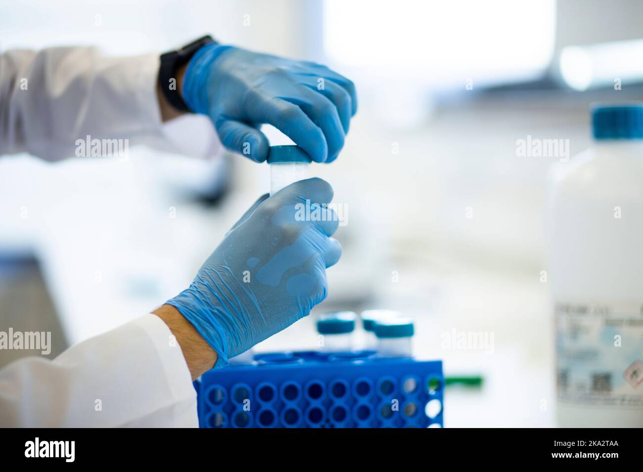 cell culture at the laboratory Stock Photo - Alamy