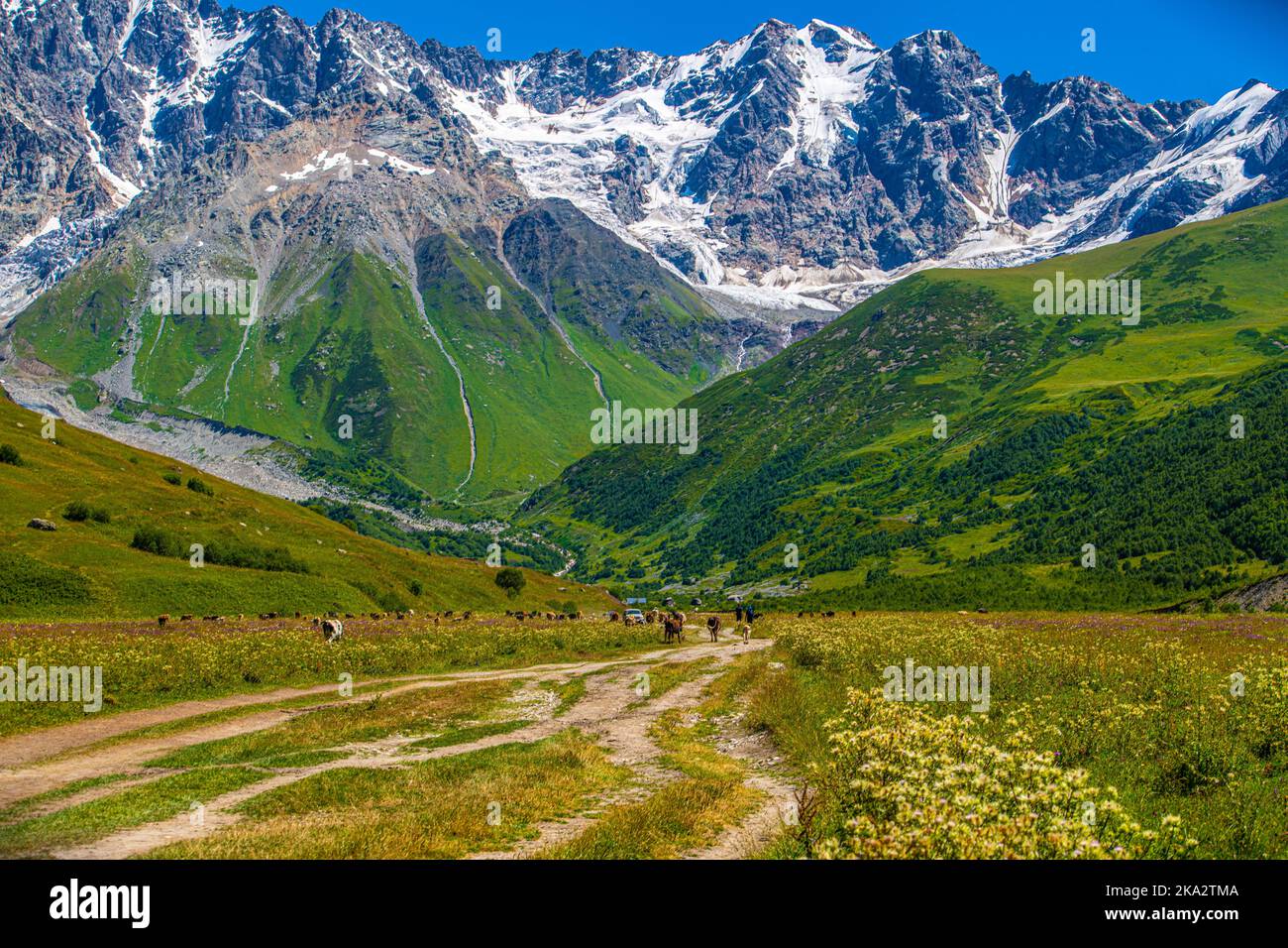 A beautiful shot of Caucasus mountain scenery in the rural countryside ...
