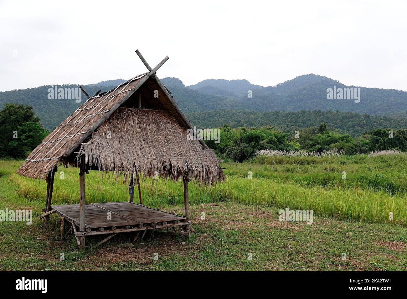 A rural straw hut in the green hills Stock Photo - Alamy