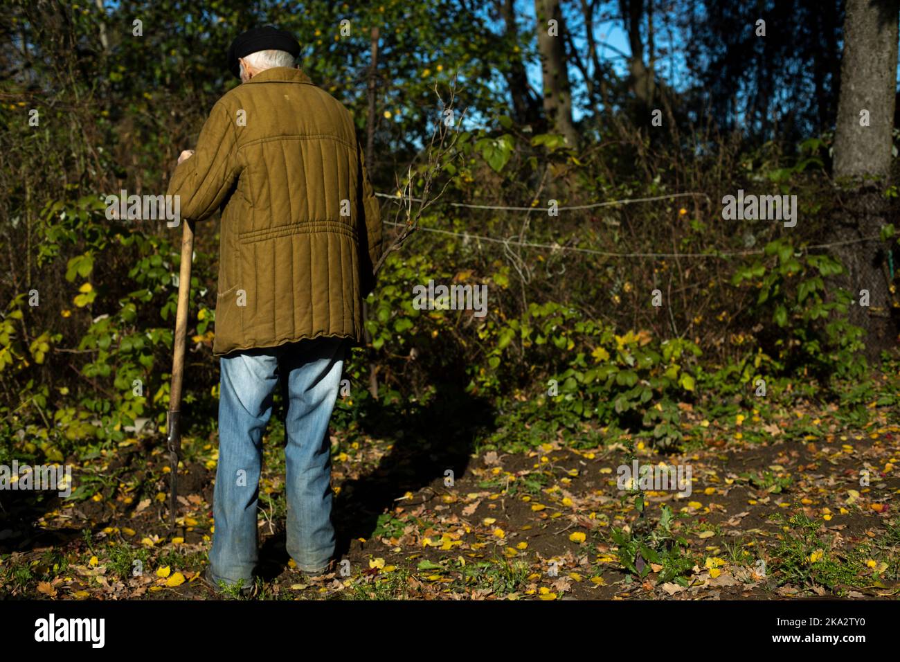 Russian old man in garden. Grandpa works on land. Pensioner works. Man ...