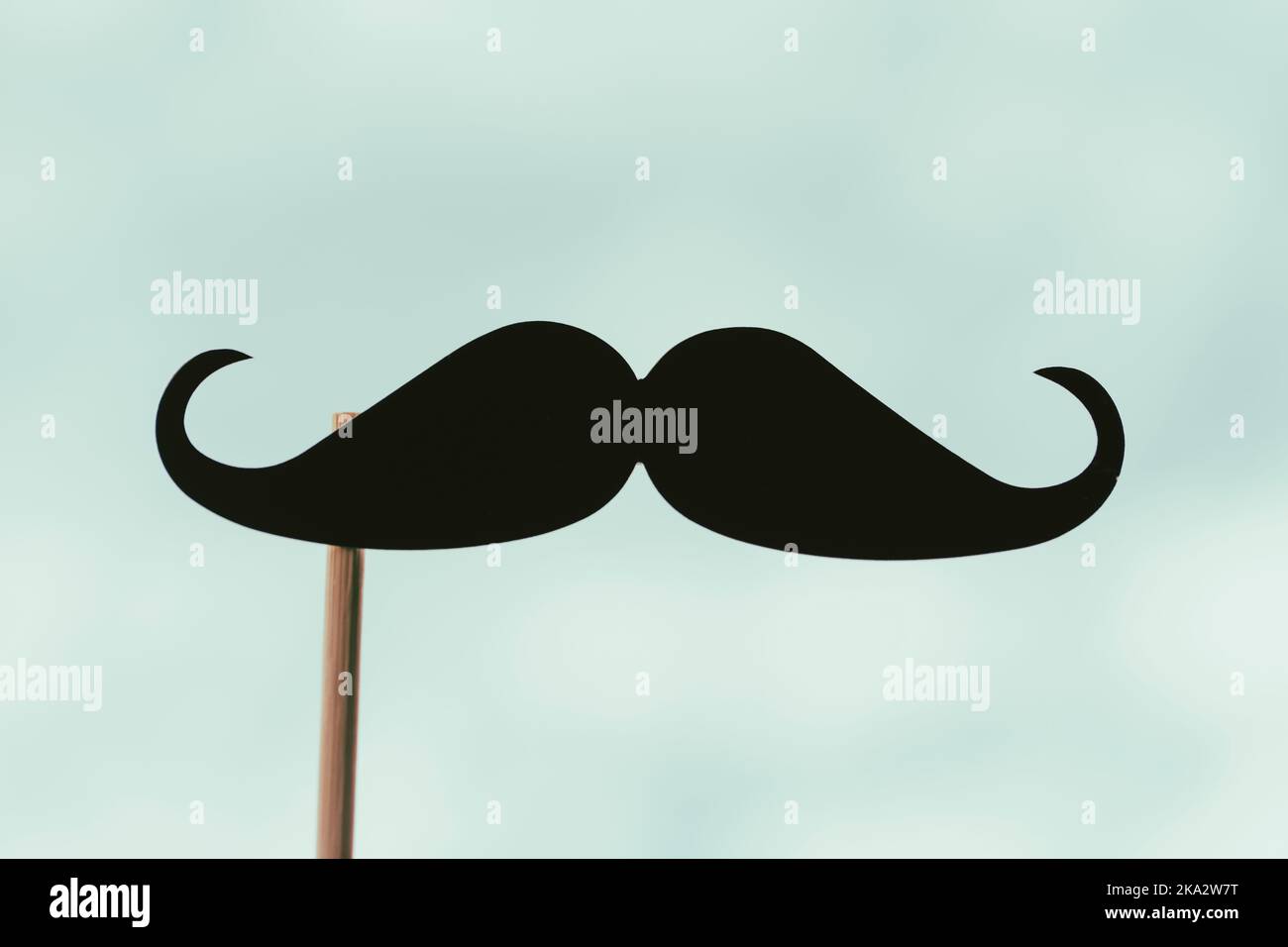 close up view of a fake black mustache photo prop Stock Photo - Alamy