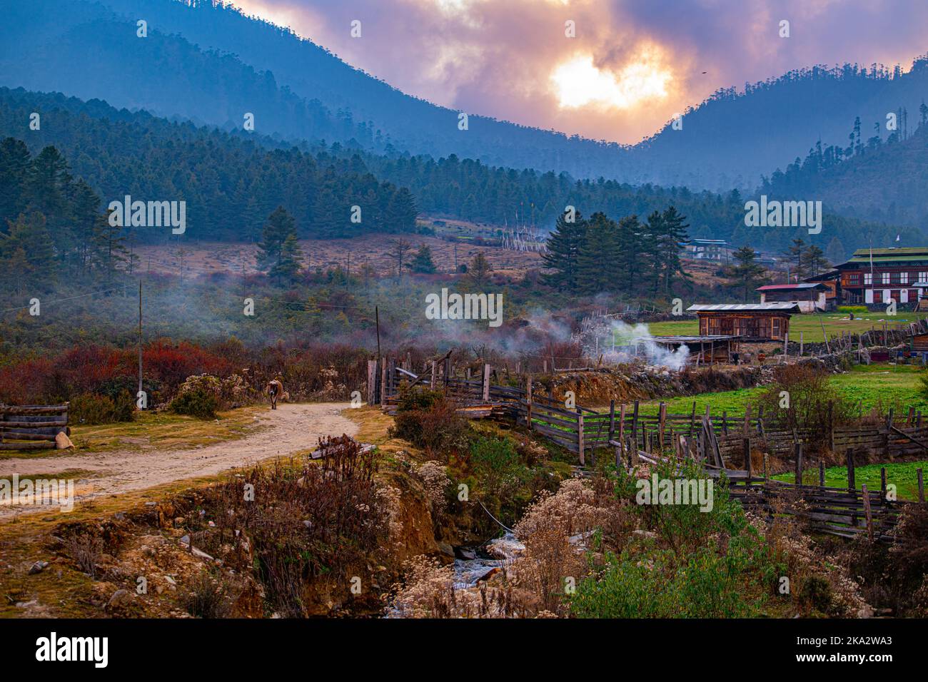 A beautiful shot of mist floating over rural Phobjikha Valley, Wangdue ...