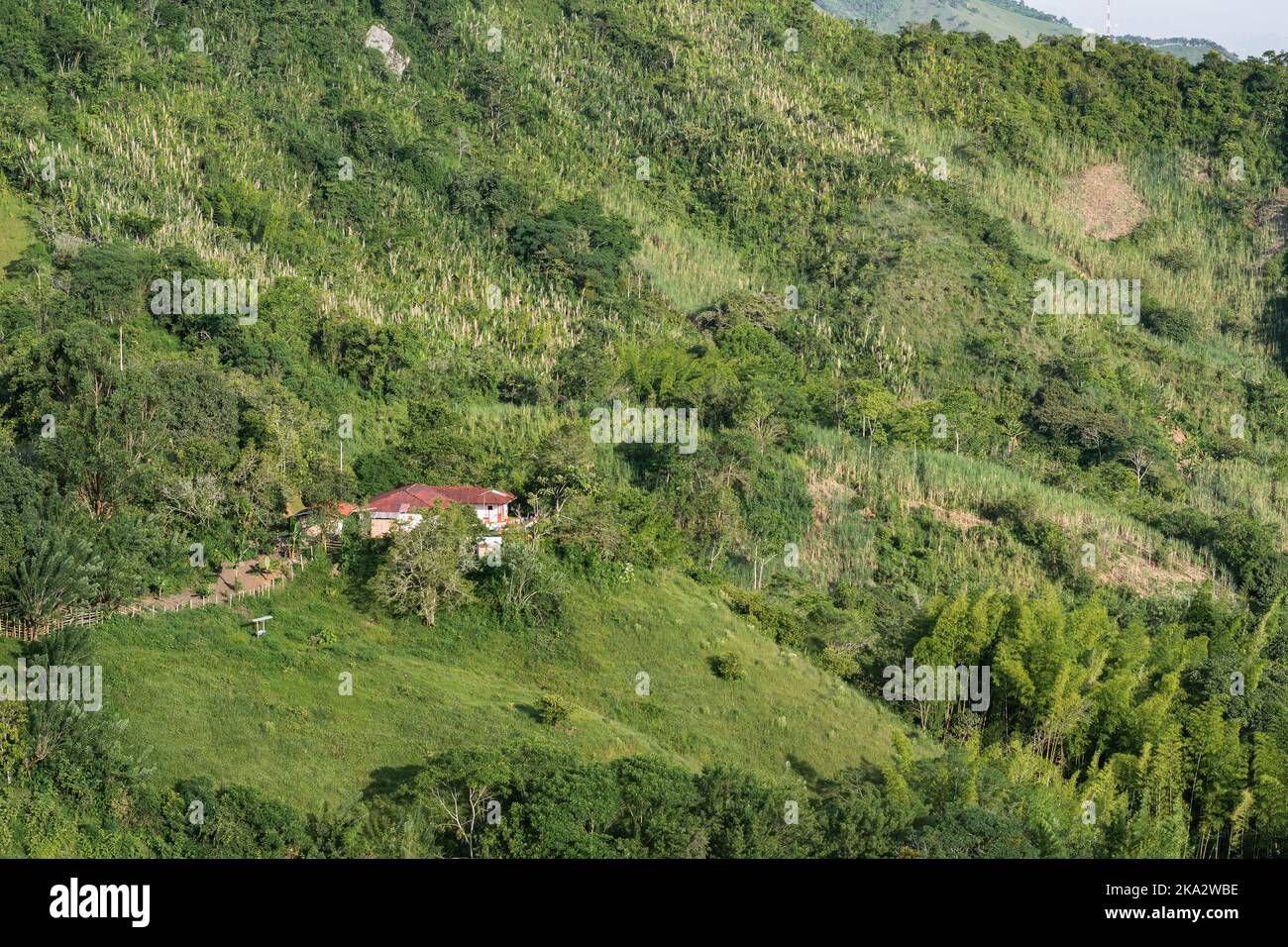 beautiful landscape in a rural Colombian area, with a peasant house ...