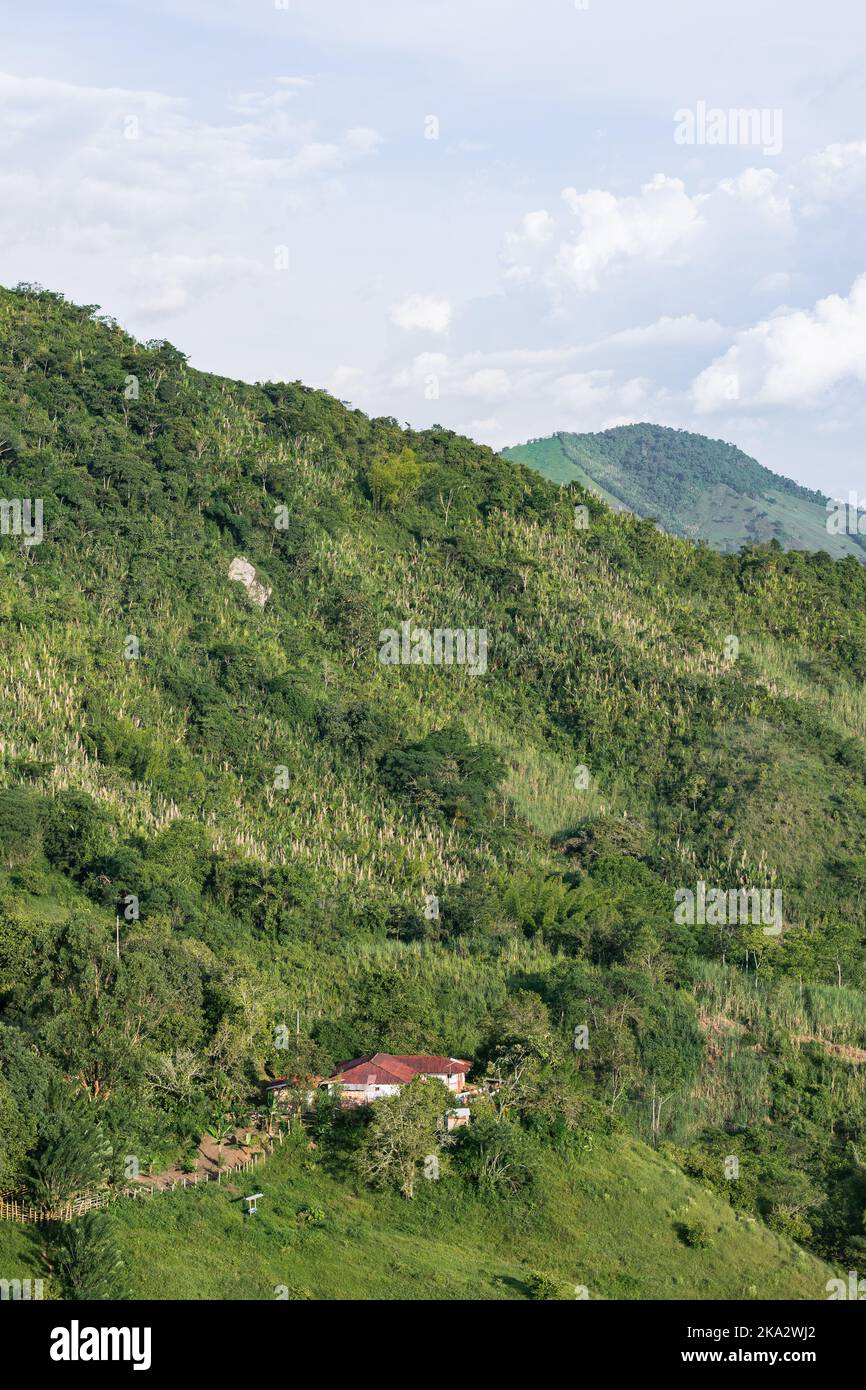 house of a peasant family in a traditional colombian farm, in a rural ...