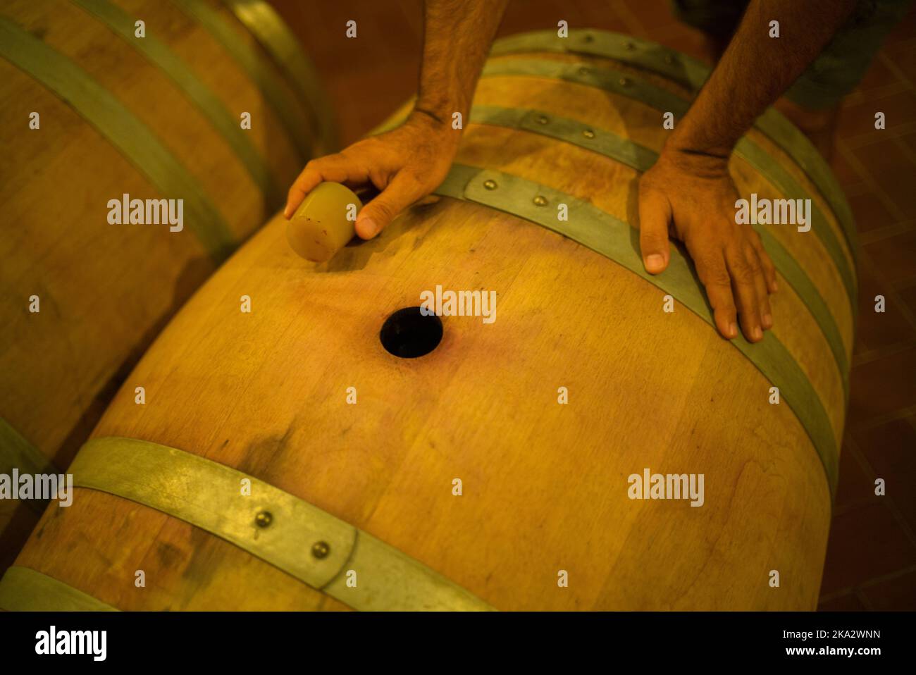 A man opens a wine barrel at a vineyard in Cyprus Stock Photo - Alamy