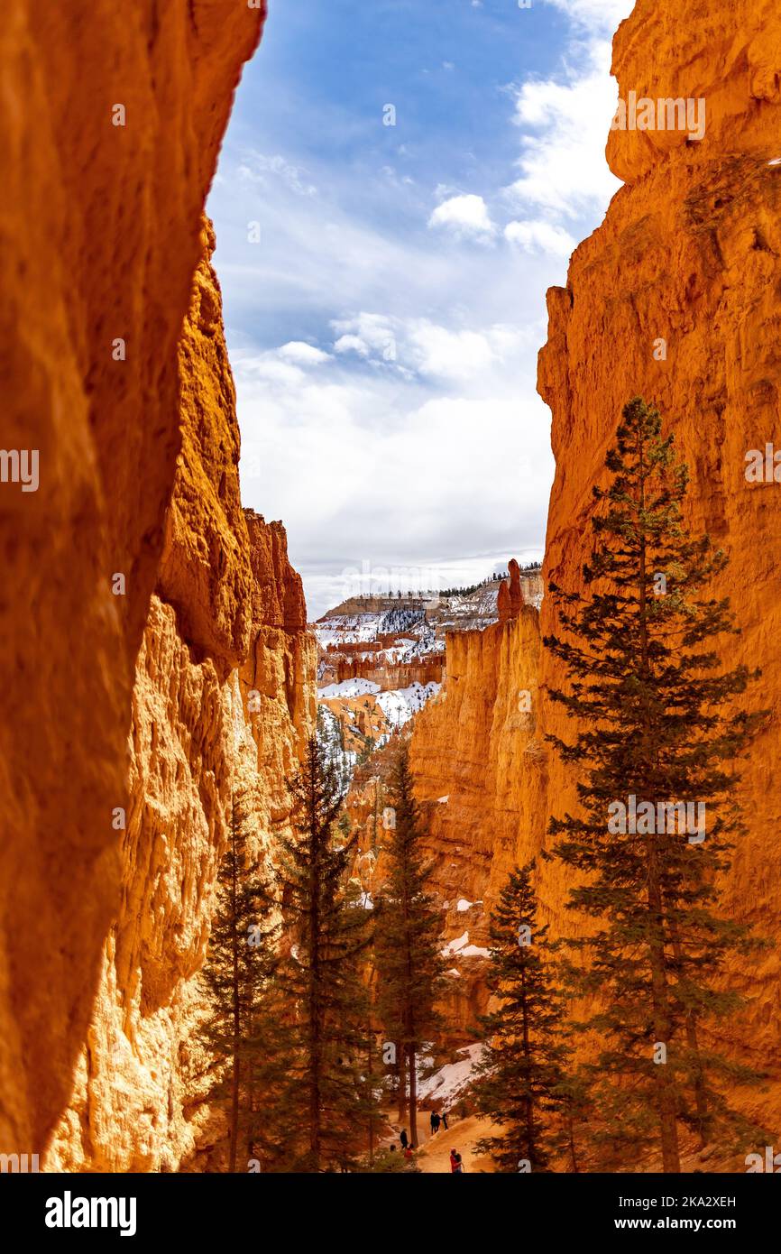 The Bryce Canyon national park in Utah Stock Photo - Alamy