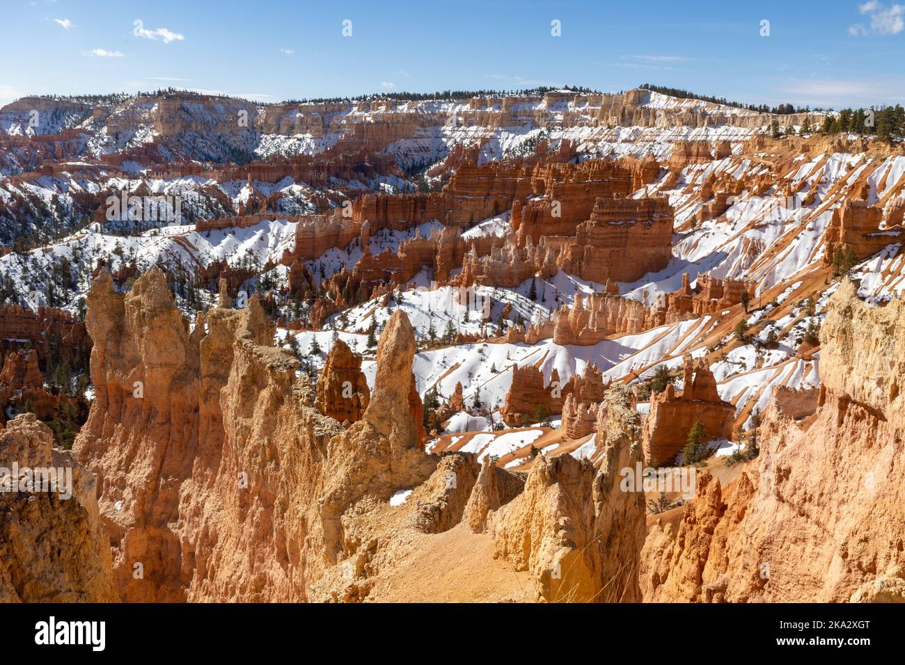 The Bryce Canyon national park in Utah Stock Photo - Alamy