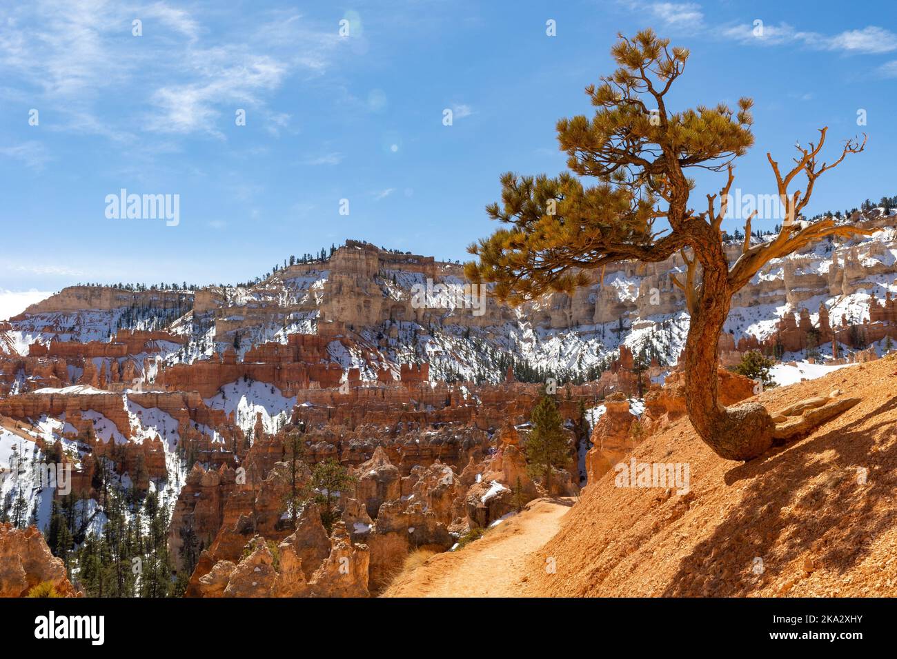 The Bryce Canyon national park in Utah Stock Photo - Alamy