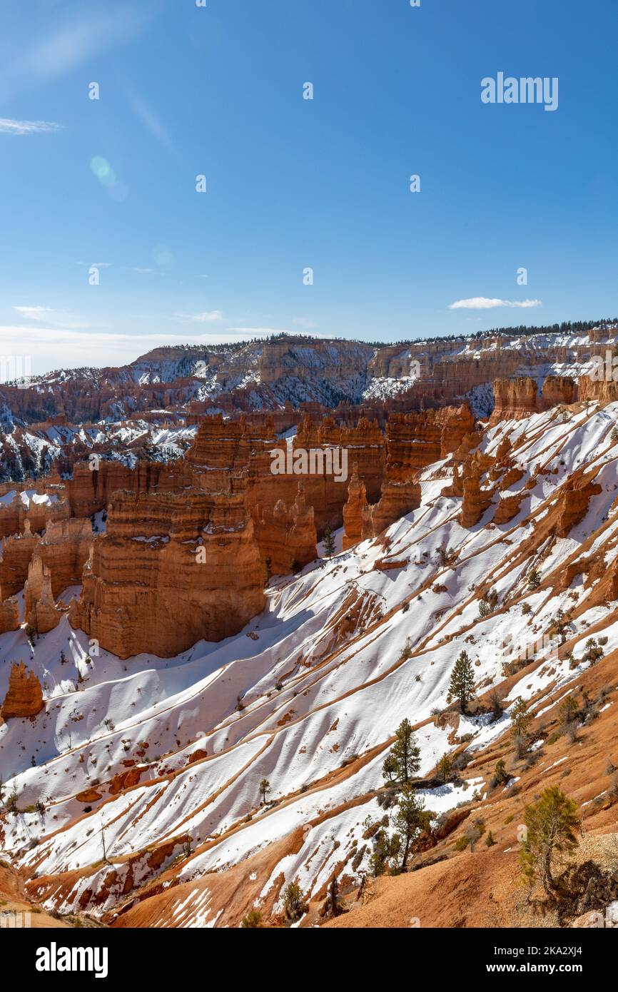 The Bryce Canyon national park in Utah Stock Photo - Alamy