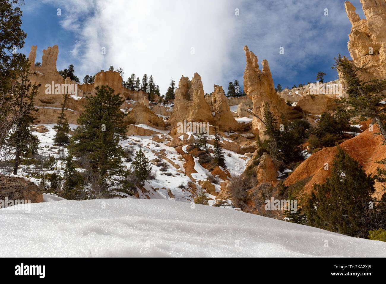 The Bryce Canyon national park in Utah Stock Photo - Alamy