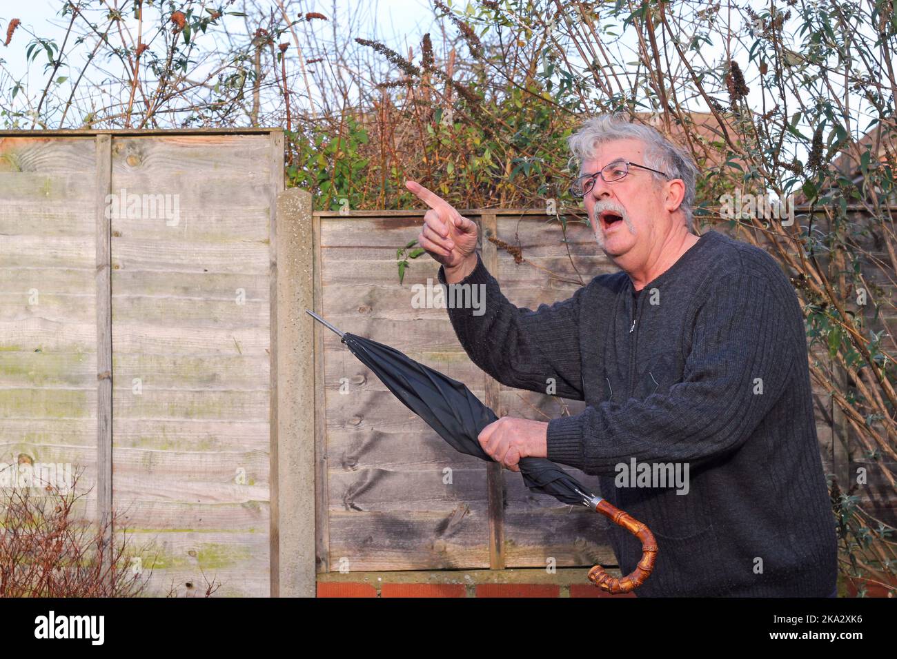 Elderly or old man holding an umbrella, pointing and shouting. Looking ...