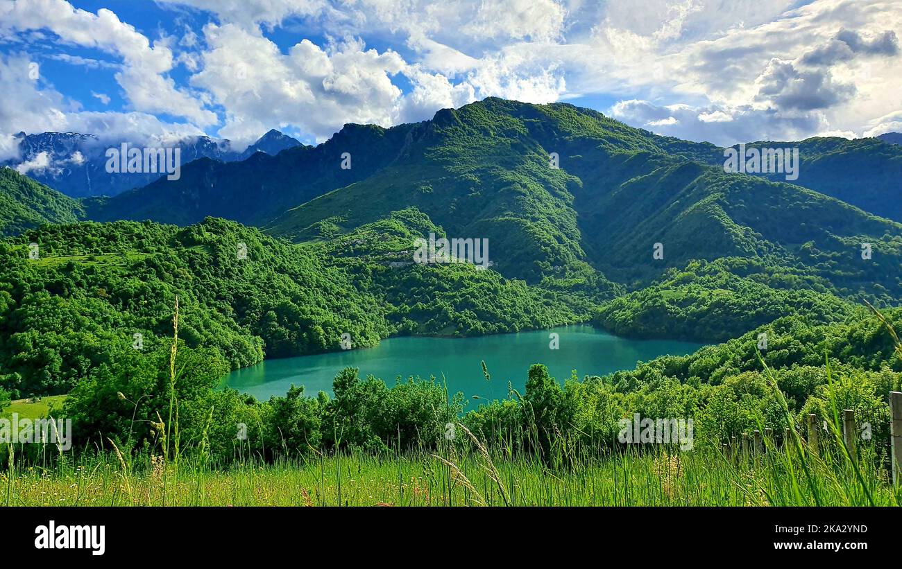 A scenic landscape with dense forest mountains a pond in front under ...