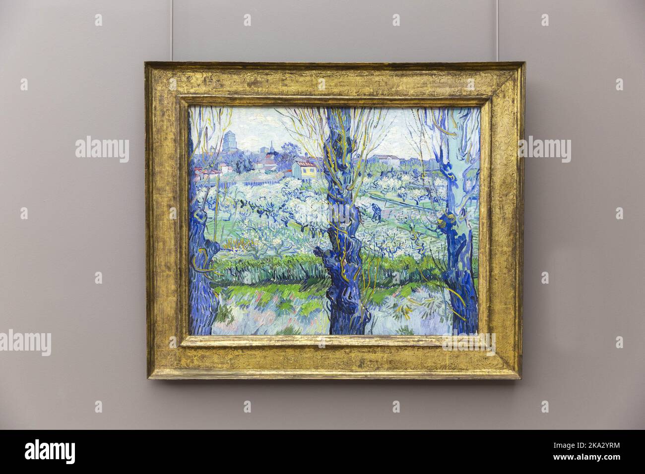Vincent van Gogh painting Stock Photo - Alamy Vincent van Gogh painting Stock Photo - Alamy