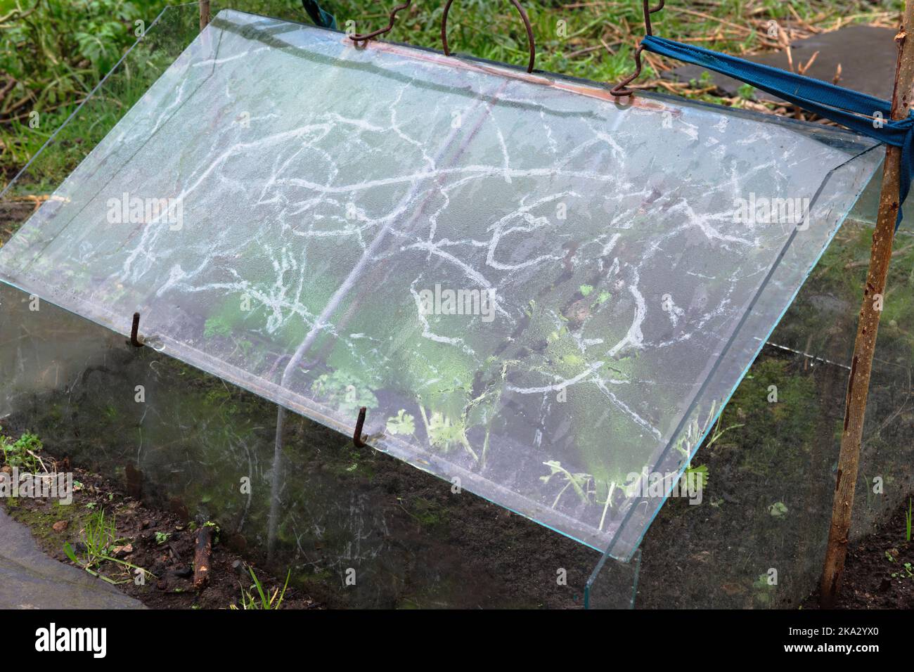 Glass garden cloche hi-res stock photography and images - Alamy