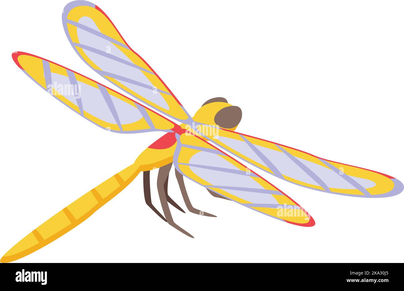 Summer dragonfly icon isometric vector. Wing insect. Shape bug Stock ...