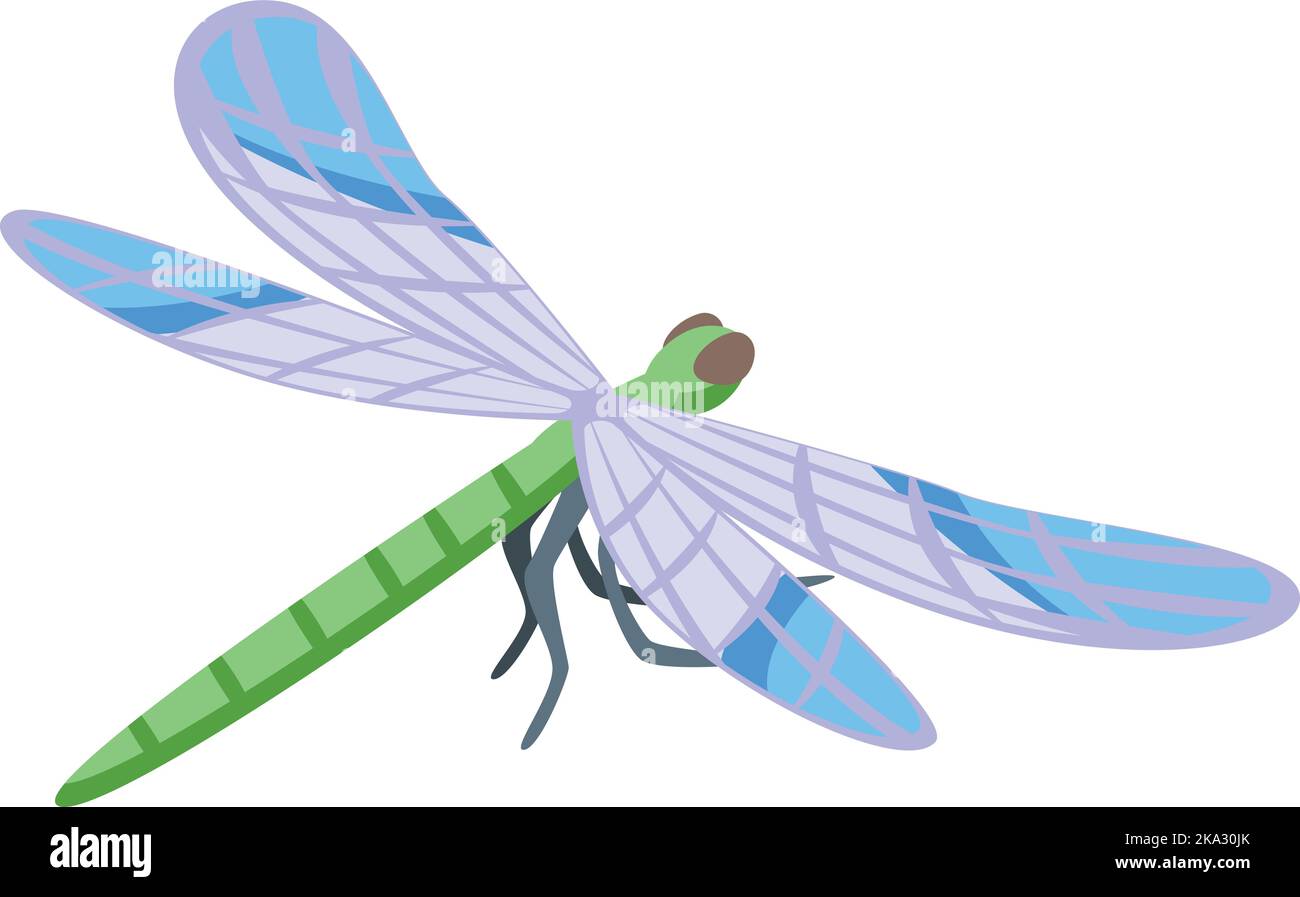 Cute bug icon isometric vector. Wing insect. Macro fly Stock Vector ...