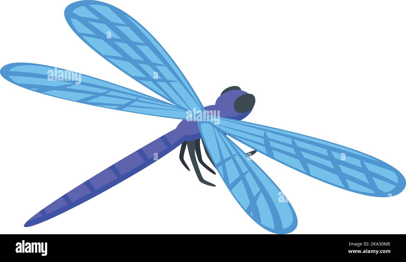 Blue wing dragonfly icon isometric vector. Fly insect. Macro summer ...