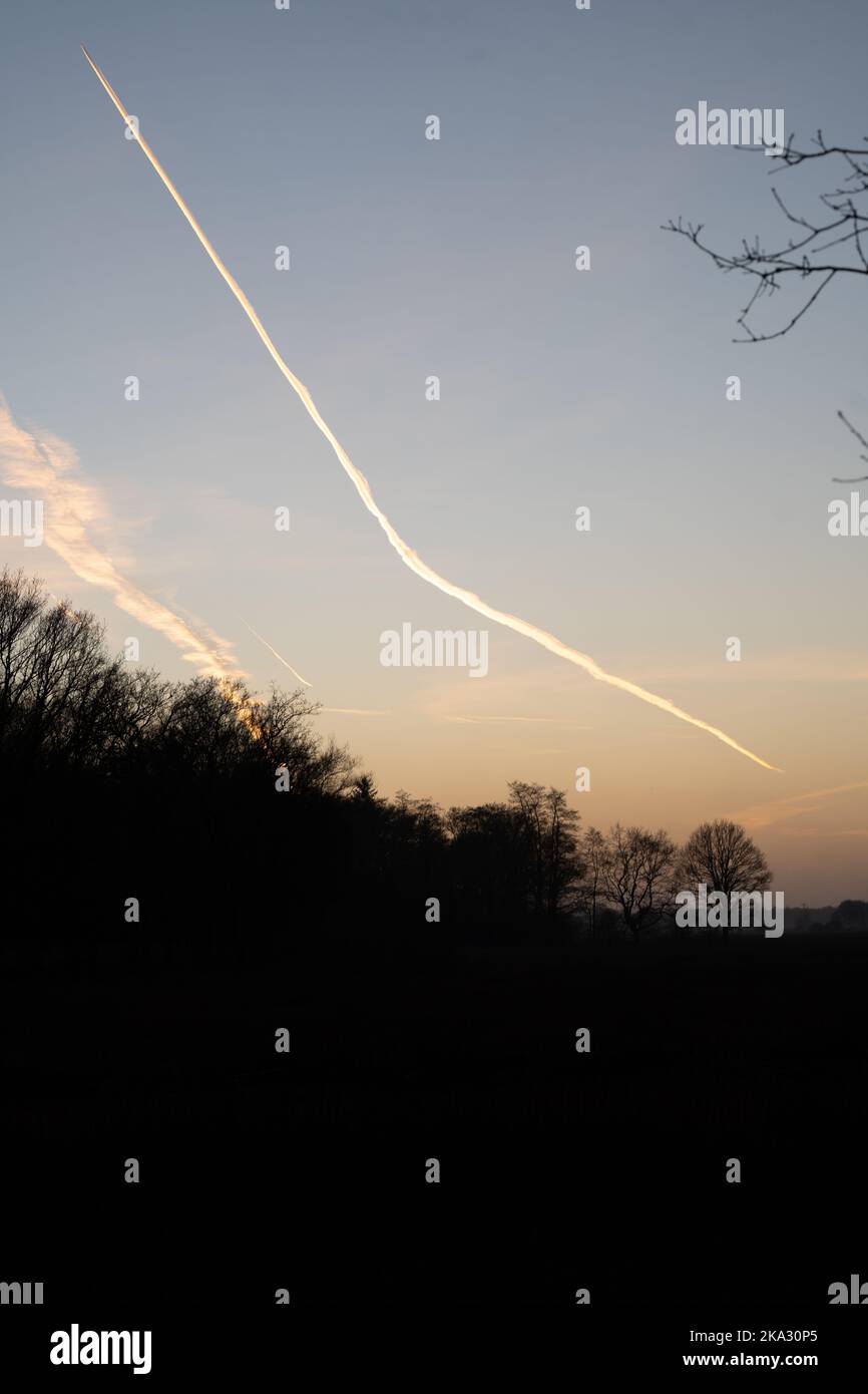 A vertical shot of airplane trails in the sky with green plants shadow ...