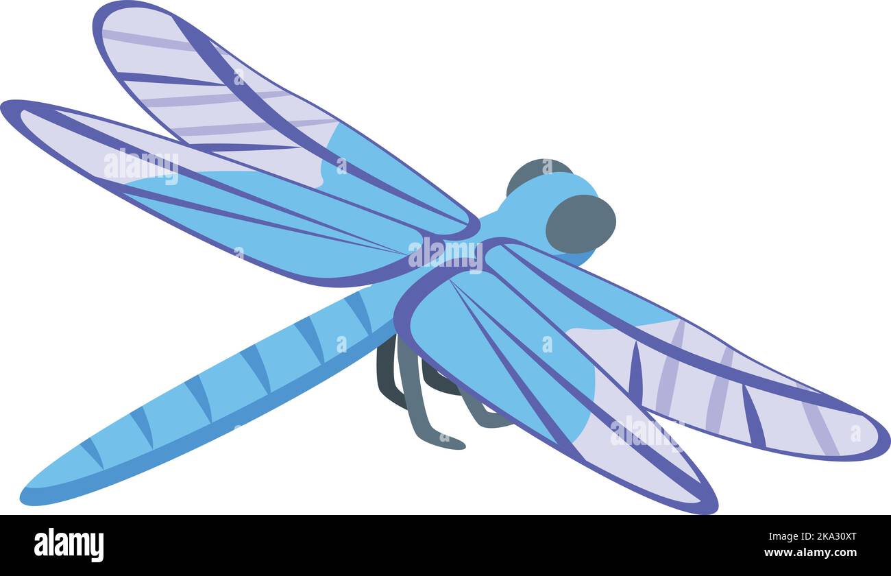 Cute dragonfly icon isometric vector. Insect wing. Macro bug Stock ...