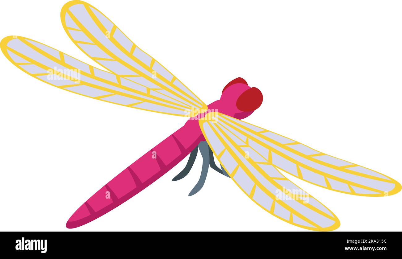 Art dragonfly icon isometric vector. Wing insect. Summer flying Stock ...