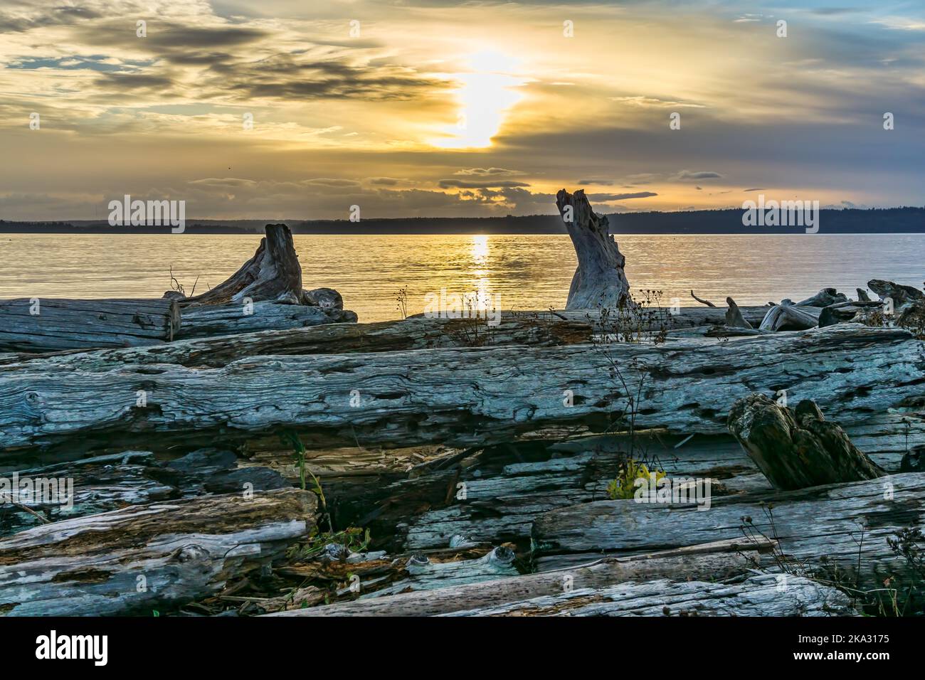 A cloudy moody sunset of the ocean in Washington State Stock Photo - Alamy