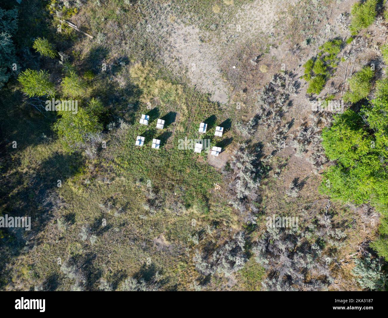 An aerial drone view of bee hive boxes for beekeepers in Northern ...