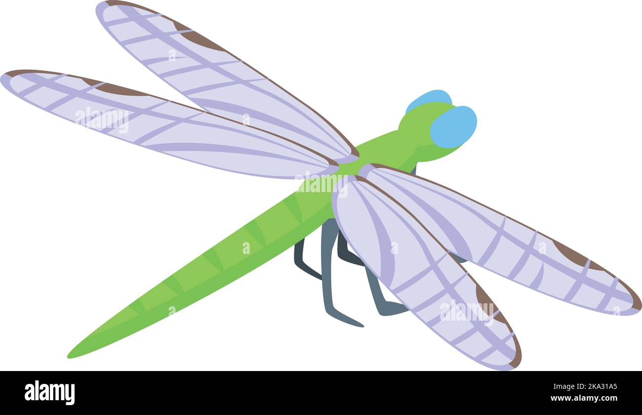 Insect dragonfly icon isometric vector. Flying wing. Summer insect ...