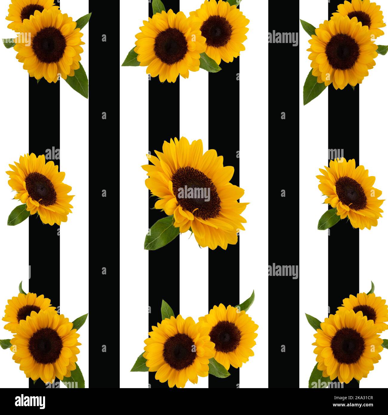 Paper stripe pattern Cut Out Stock Images & Pictures - Alamy