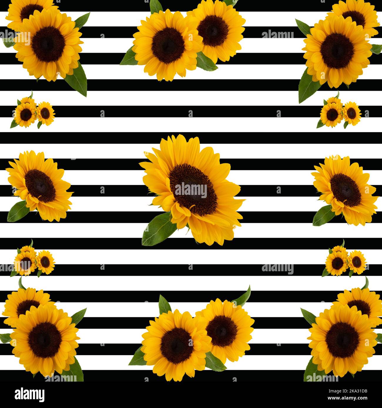 Sunflower digital paper hi-res stock photography and images - Alamy
