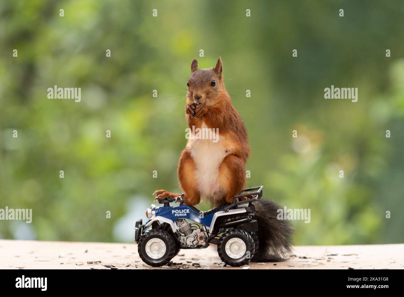 Riding a quadbike hi-res stock photography and images - Alamy