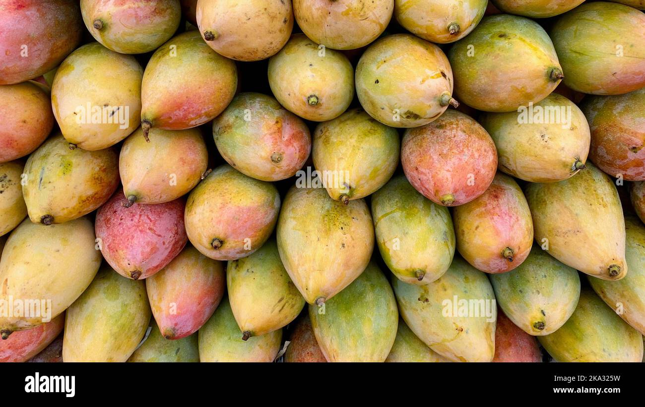 A view of a pile of mango fruit in a market Stock Photo - Alamy
