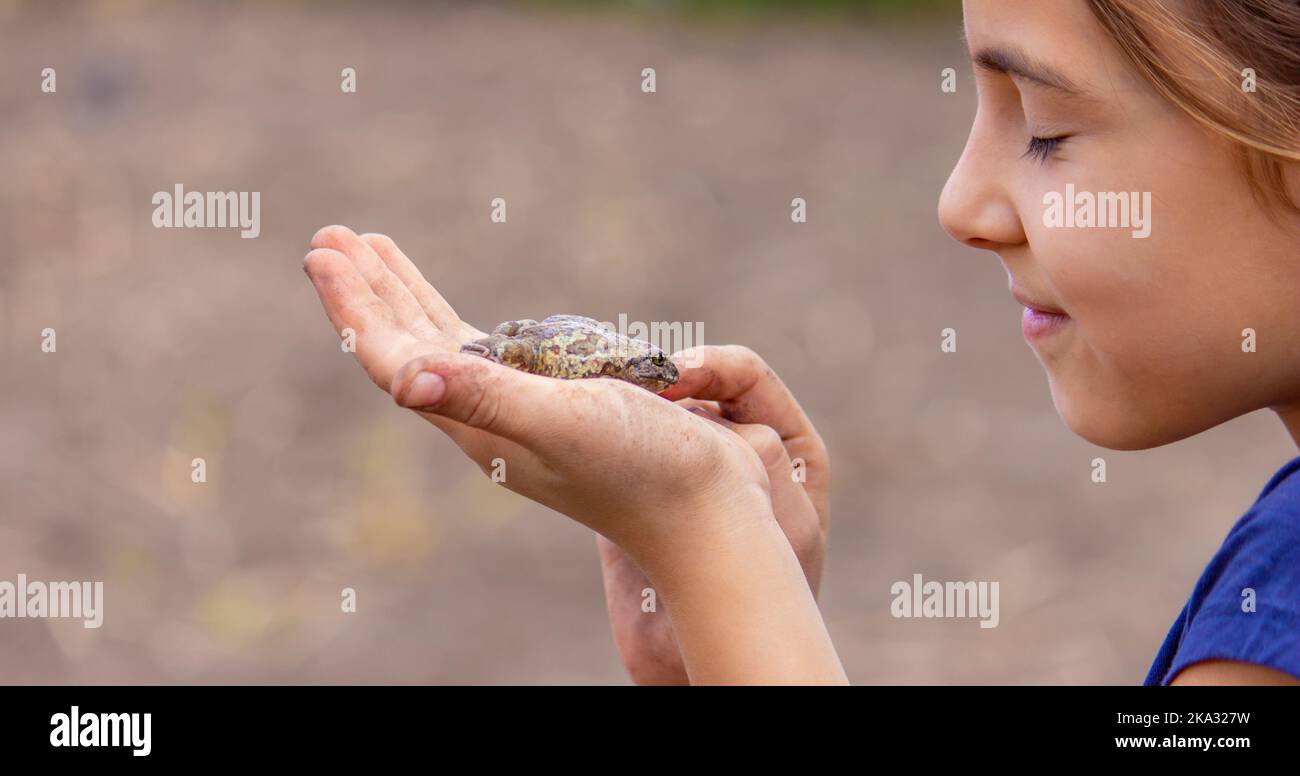 Kid hand holding frog hi-res stock photography and images - Alamy