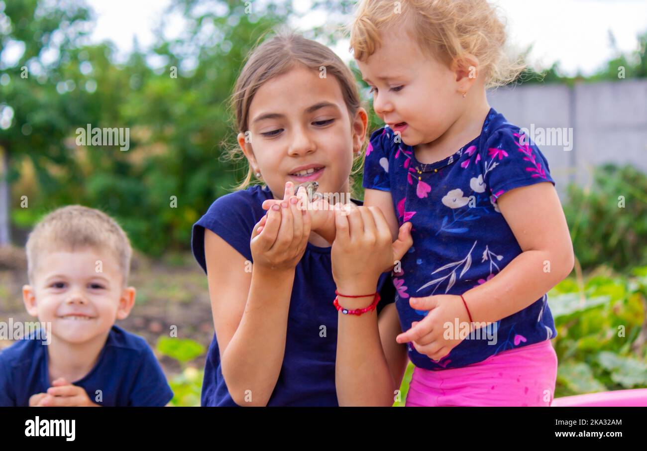 Toad human hand hi-res stock photography and images - Alamy